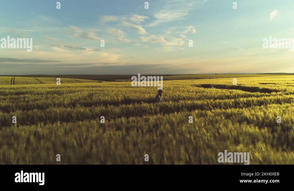 Busy Old Farmer. Agriculture, Farming Concept Stock Video Footage - Alamy