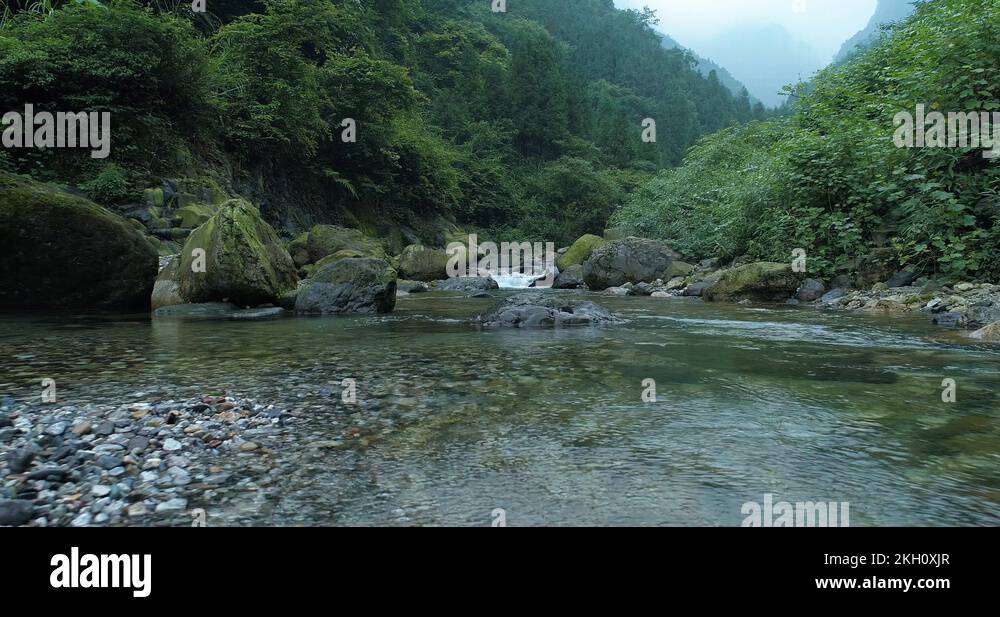 Stream In Smokies Stock Videos Footage Hd And 4k Video Clips Alamy