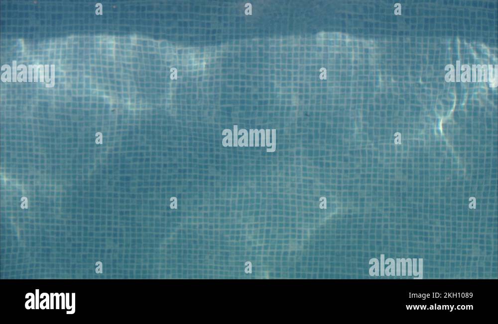 Ha legs Stock Videos & Footage - HD and 4K Video Clips - Alamy