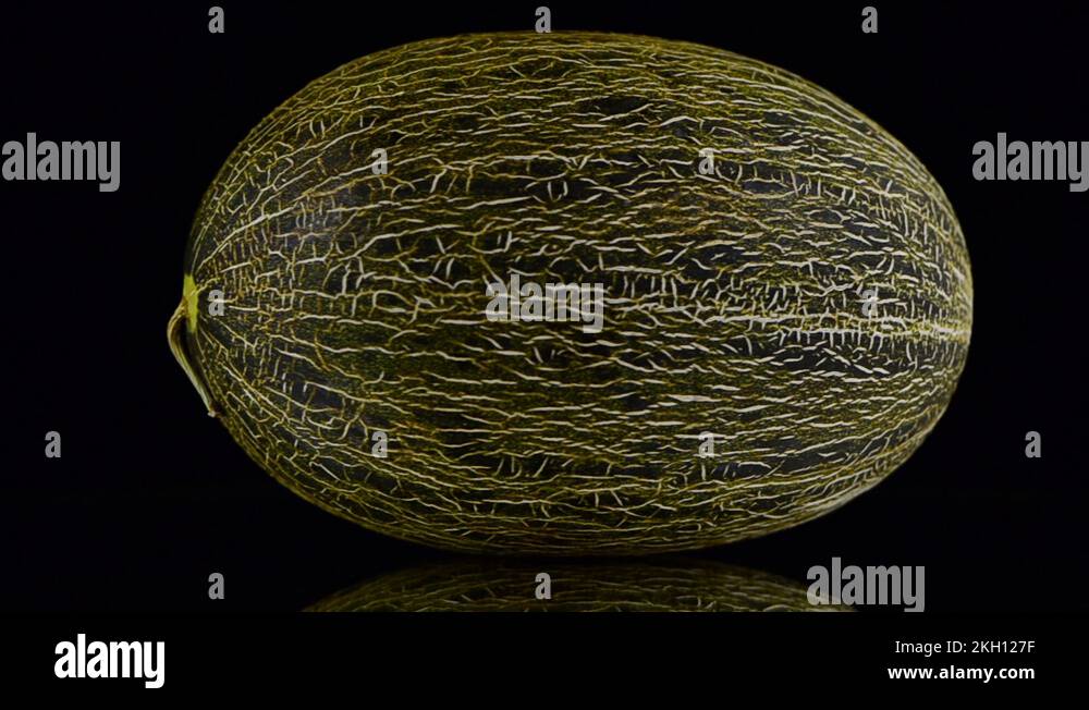 Melon Stock Videos & Footage - HD and 4K Video Clips - Alamy