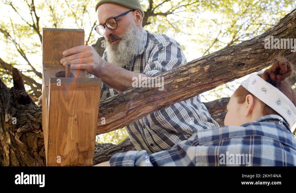 Man hanging on tree Stock Videos & Footage - HD and 4K Video Clips - Alamy