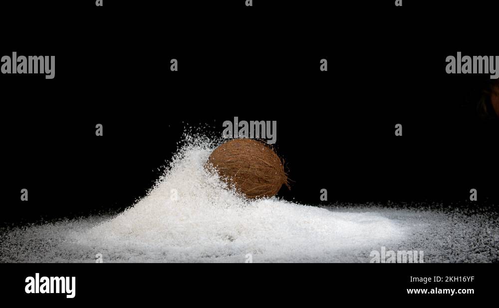 Coconut, cocos nucifera, Fruit and Powder Exploding against Black ...