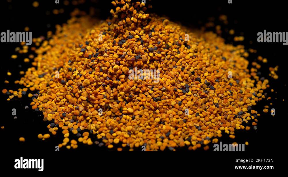 Pollen Dumplings Falling on Black Background, Slow Motion 4K Stock ...