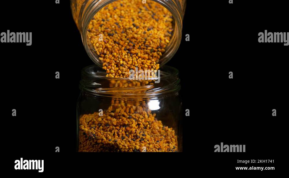 Pollen Dumplings Falling on Black Background, Crockery, Slow Motion 4K ...