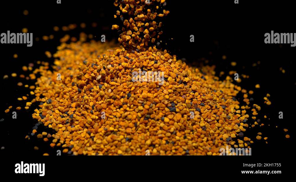 Pollen Dumplings Falling on Black Background, Slow Motion 4K Stock ...