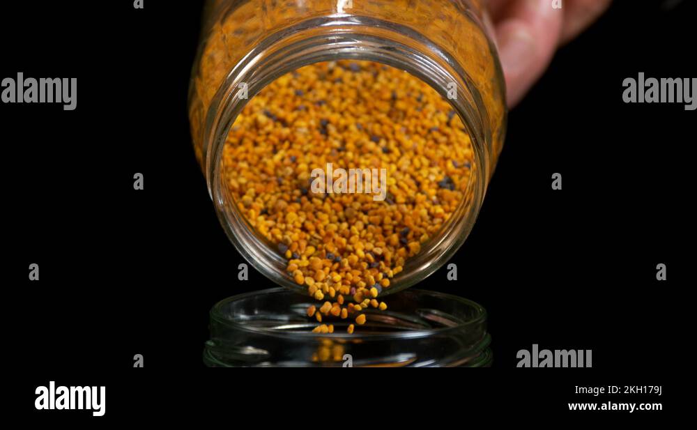 Pollen Dumplings Falling on Black Background, Crockery, Slow Motion 4K ...