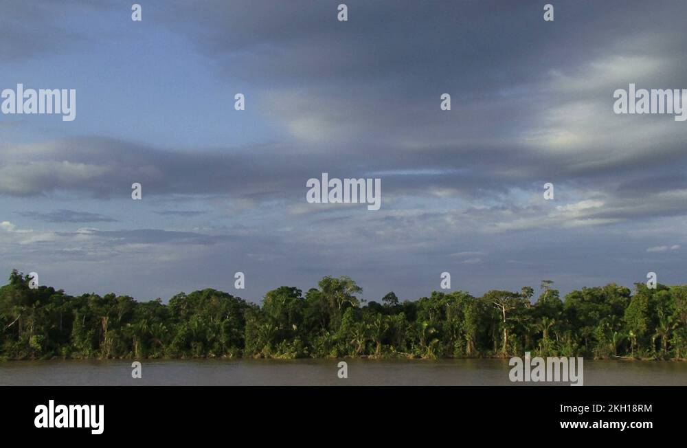 Amazon river habitat Stock Videos & Footage - HD and 4K Video Clips - Alamy