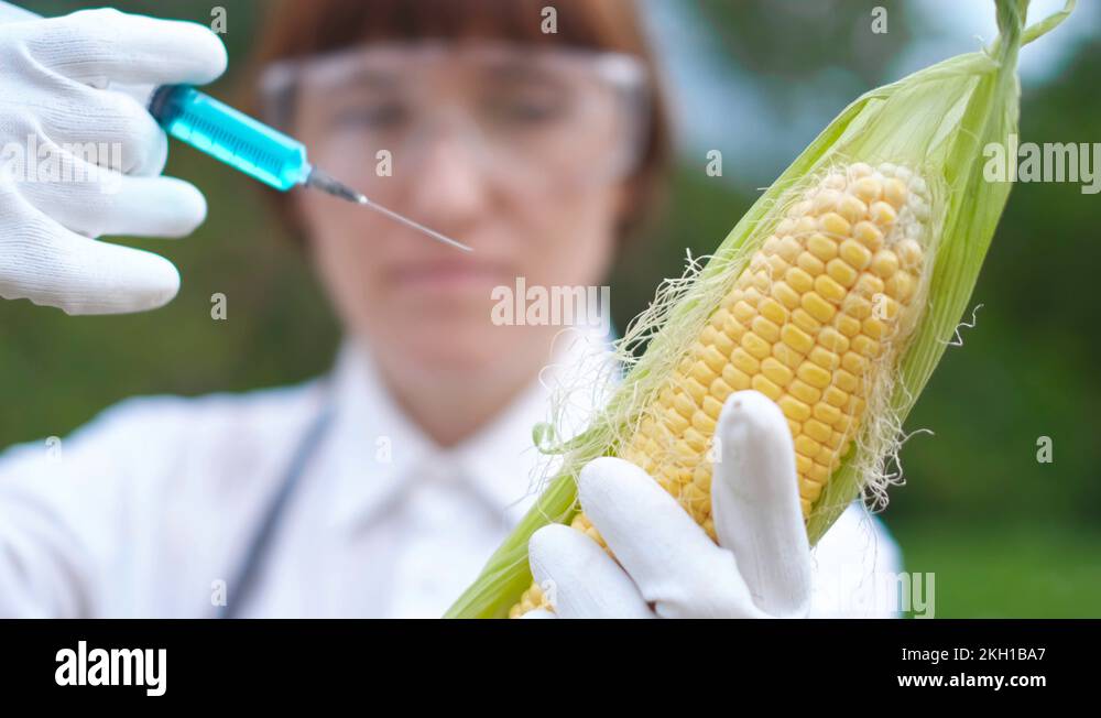 Genetic engineering laboratory Stock Videos & Footage - HD and 4K Video ...