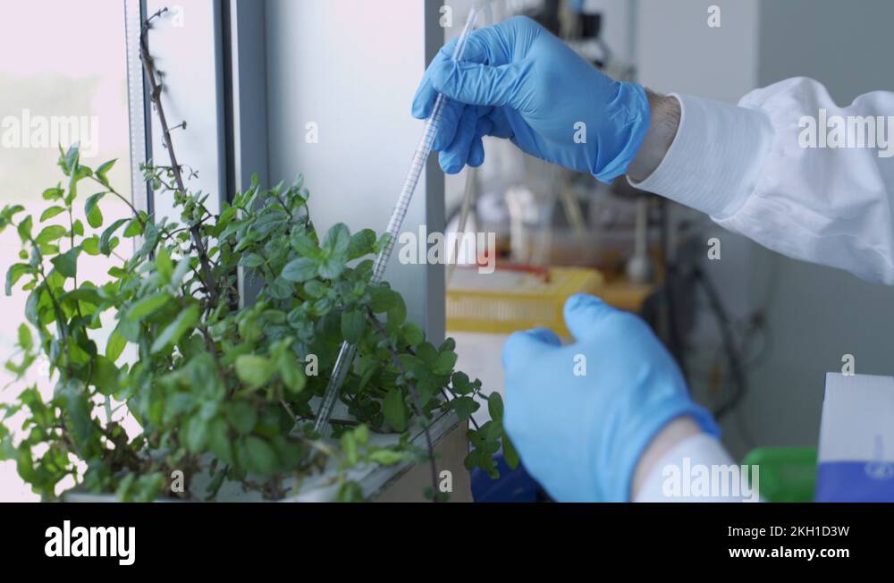 Young man in a biotech lab check and measures data in a green-energy ...