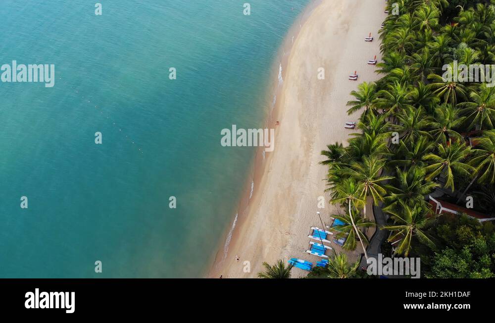 Blue lagoon and sandy beach with palms. Aerial view of blue lagoon and ...