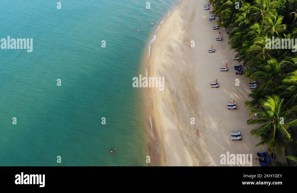 Blue lagoon and sandy beach with palms. Aerial view of blue lagoon and ...
