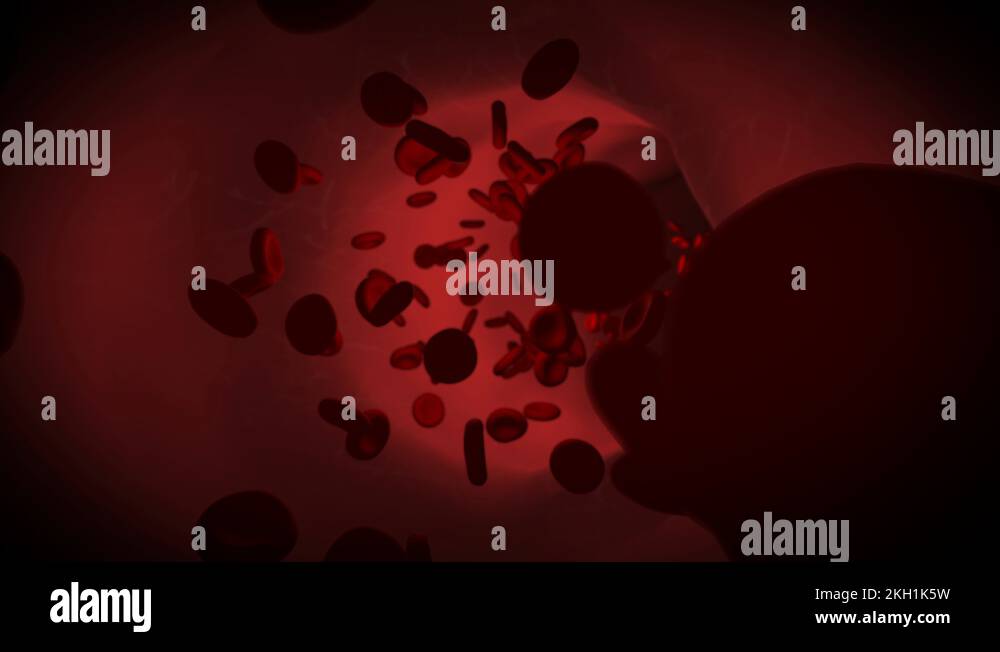 Red blood cells cartoon Stock Videos & Footage - HD and 4K Video Clips ...