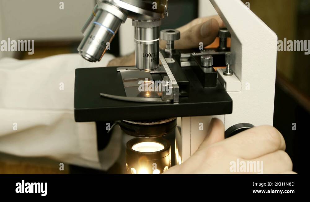 Microscope adjustment Stock Videos & Footage - HD and 4K Video Clips ...