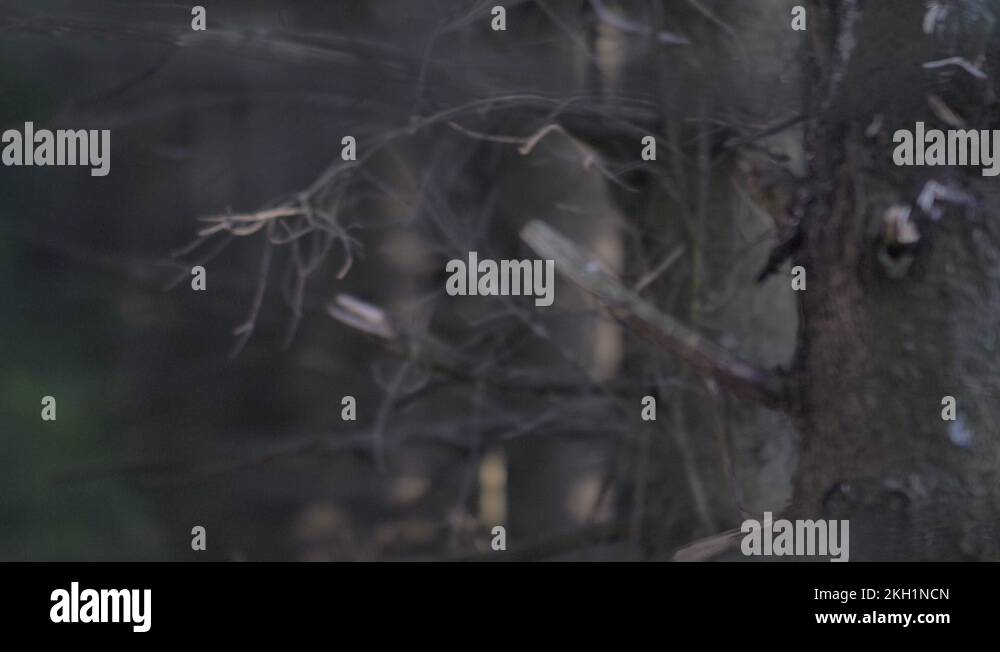 Scared boy hiding face Stock Videos & Footage - HD and 4K Video Clips ...