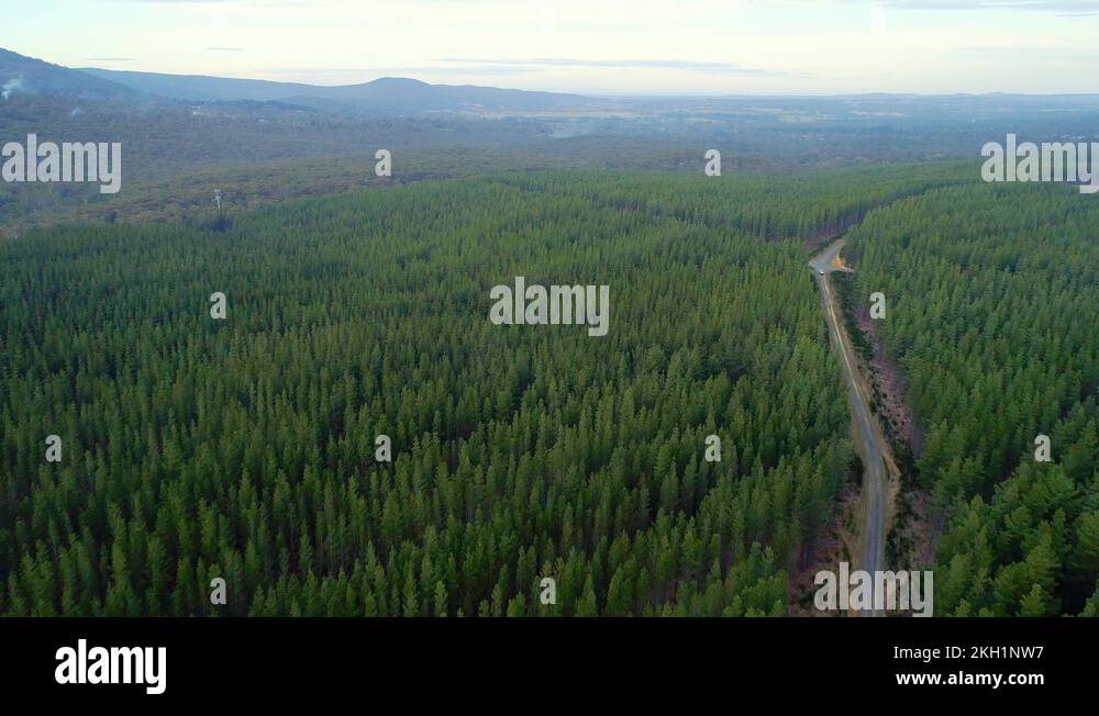 Timber plantation australia Stock Videos & Footage - HD and 4K Video ...