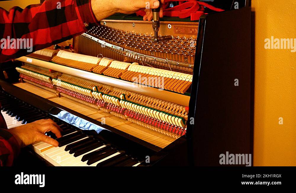 Technician tuning an upright piano by playing notes and adjusting pitch ...