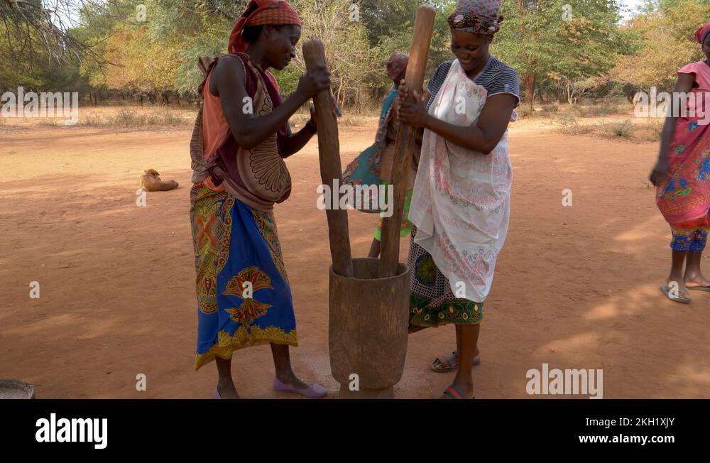 Five woman pounding and grinding sorghum using an old traditional ...