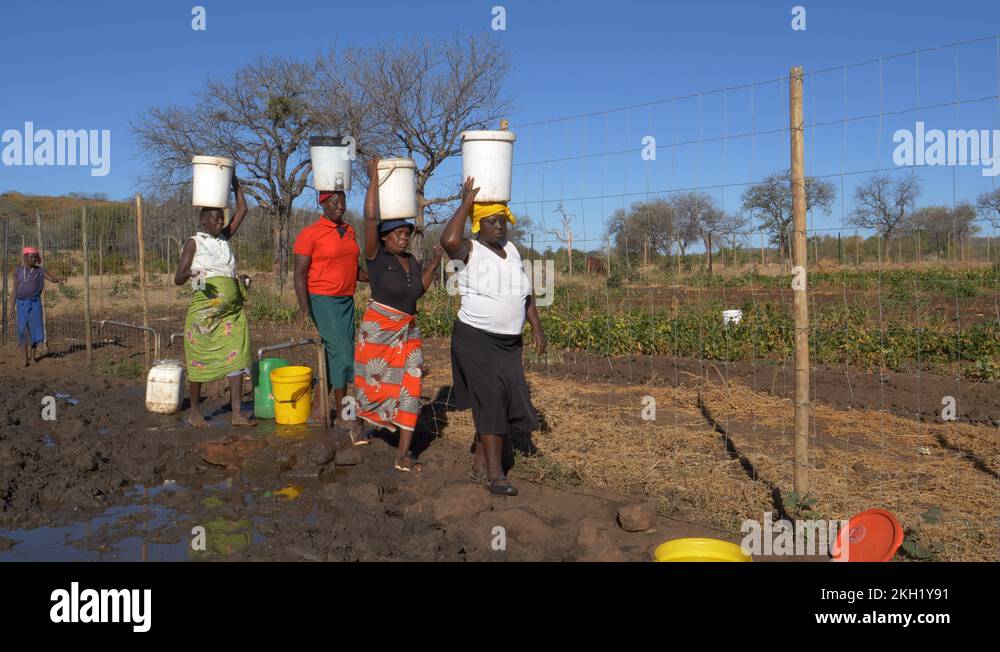Filling plastic water containers Stock Videos & Footage - HD and 4K ...