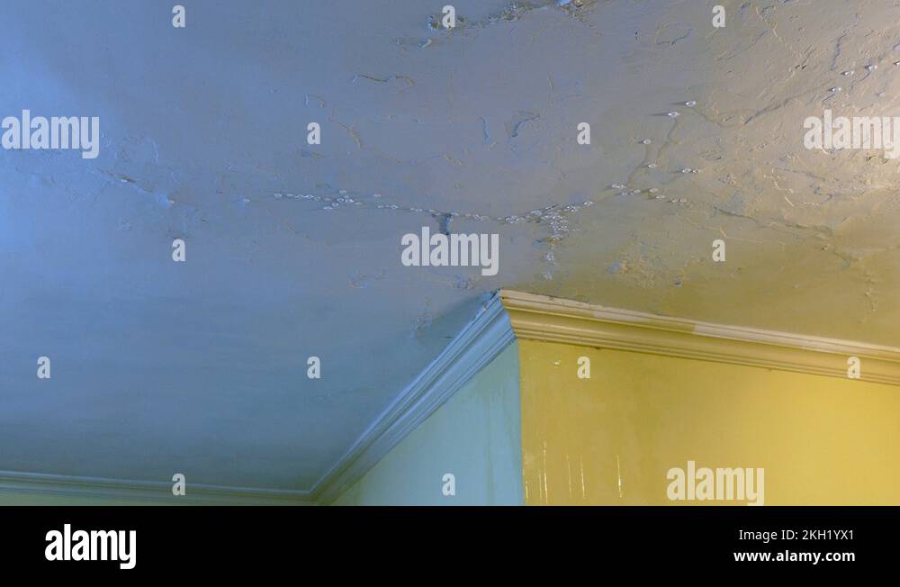 Leaky ceiling Stock Videos & Footage - HD and 4K Video Clips - Alamy