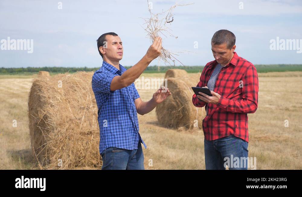 teamwork agriculture smart farming concept. two men farmers workers ...