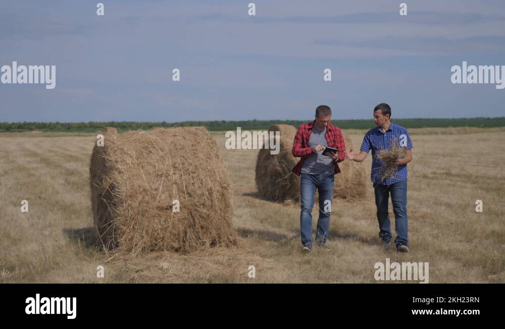 teamwork agriculture smart farming concept. two men farmers workers ...