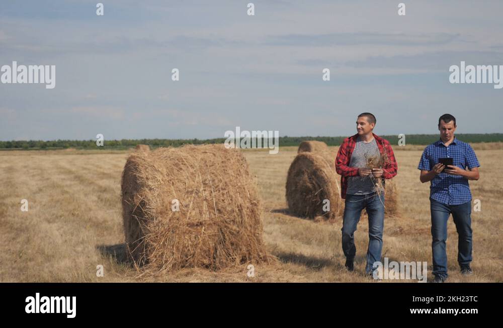 teamwork agriculture smart farming concept. two men farmers workers ...