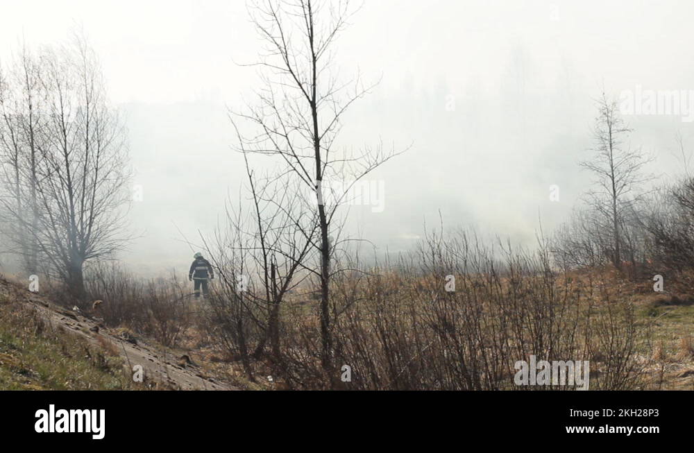 Wildfire forest fire extinction Stock Videos & Footage - HD and 4K ...