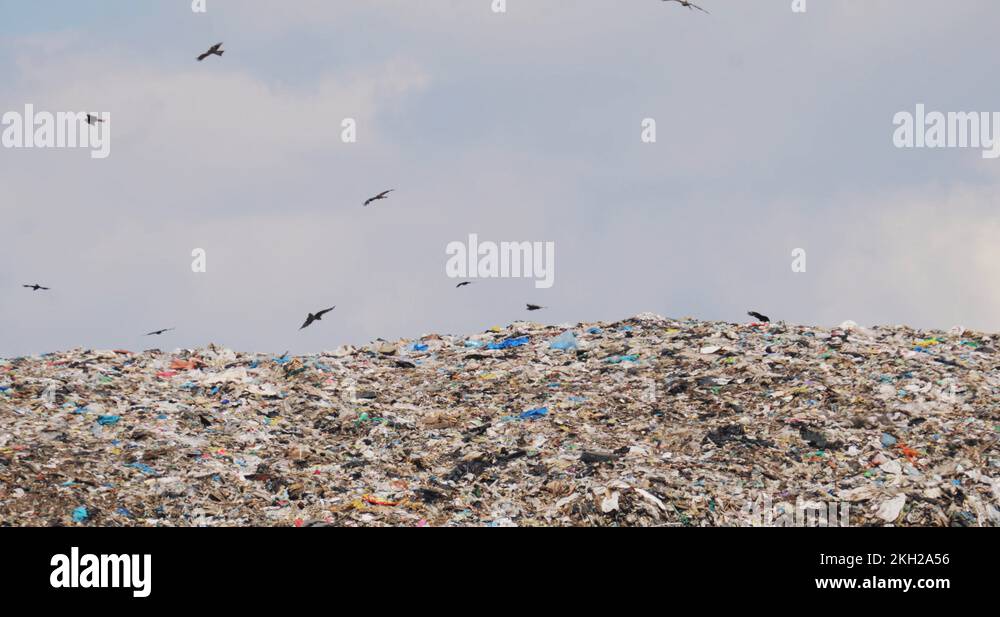 Litter on country walks Stock Videos & Footage - HD and 4K Video Clips ...