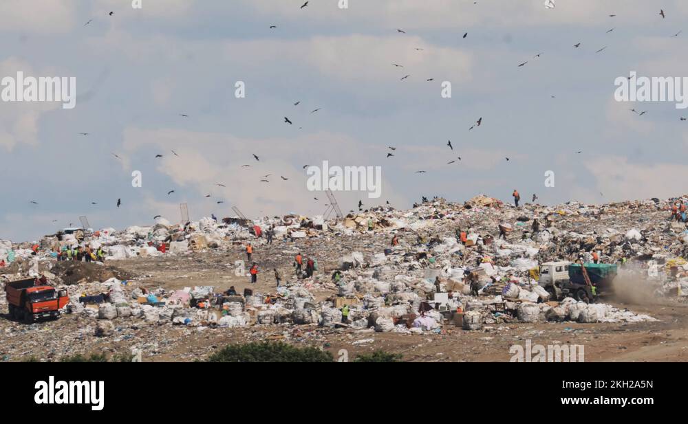 Working day on city dump with workers and garbage trucks and huge waste ...