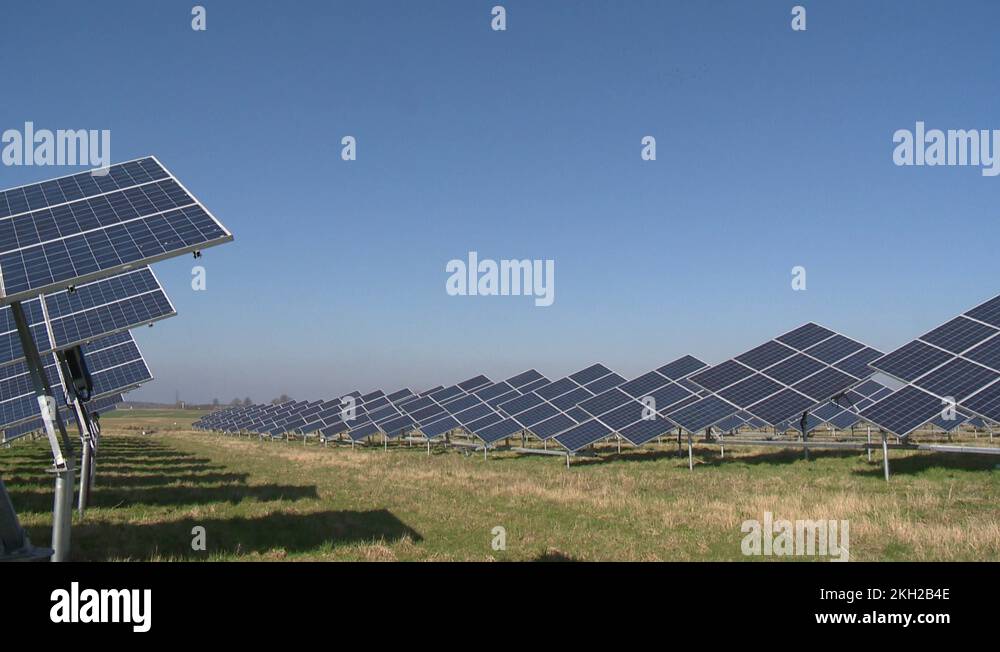 Solar panel plantation using sunlight to generate renewable eco ...