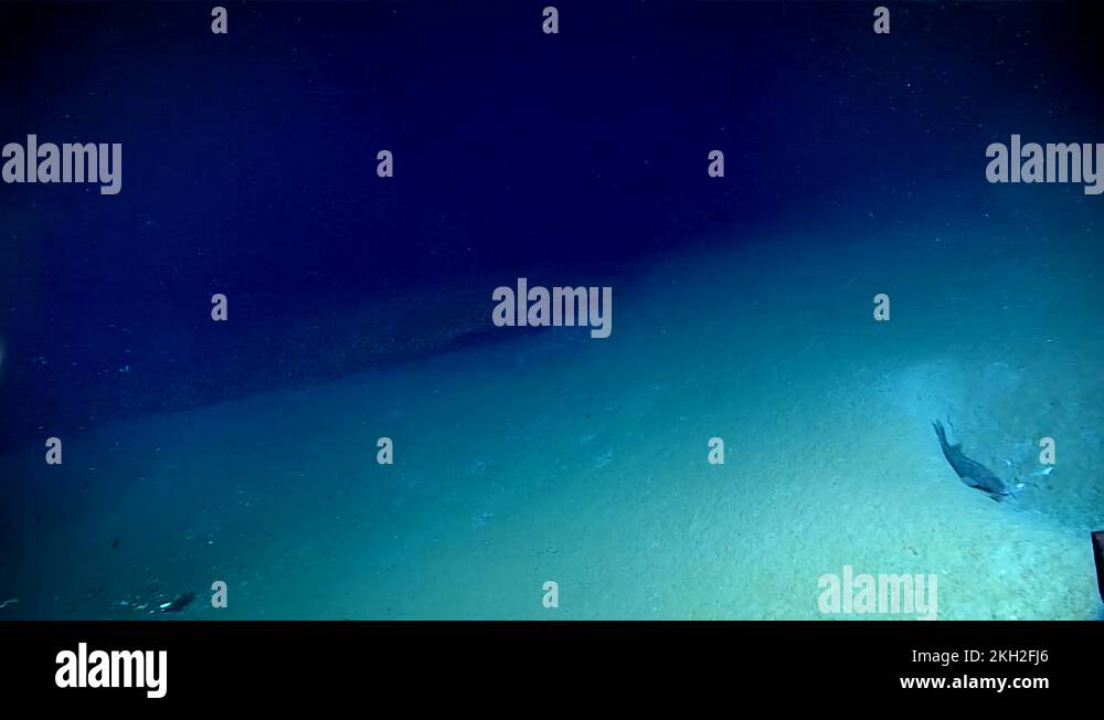 Brine pool Stock Videos & Footage - HD and 4K Video Clips - Alamy