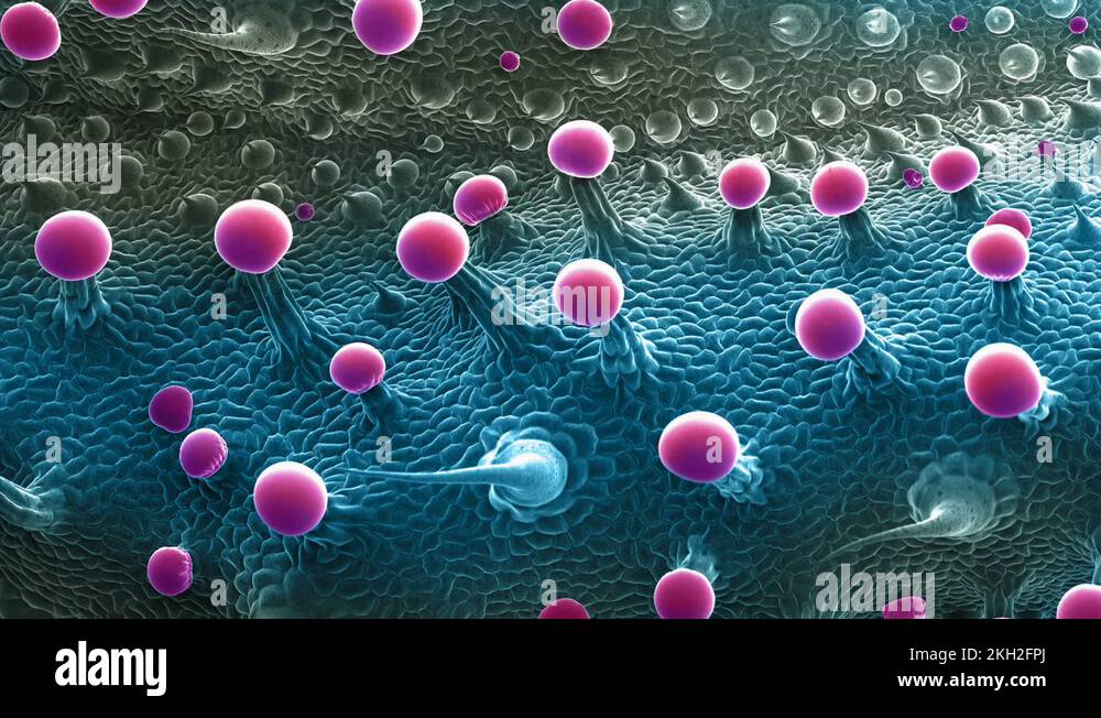 Electron micrography Stock Videos & Footage - HD and 4K Video Clips - Alamy