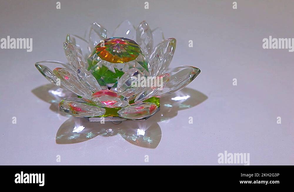 Glass lotus Stock Videos & Footage - HD and 4K Video Clips - Alamy