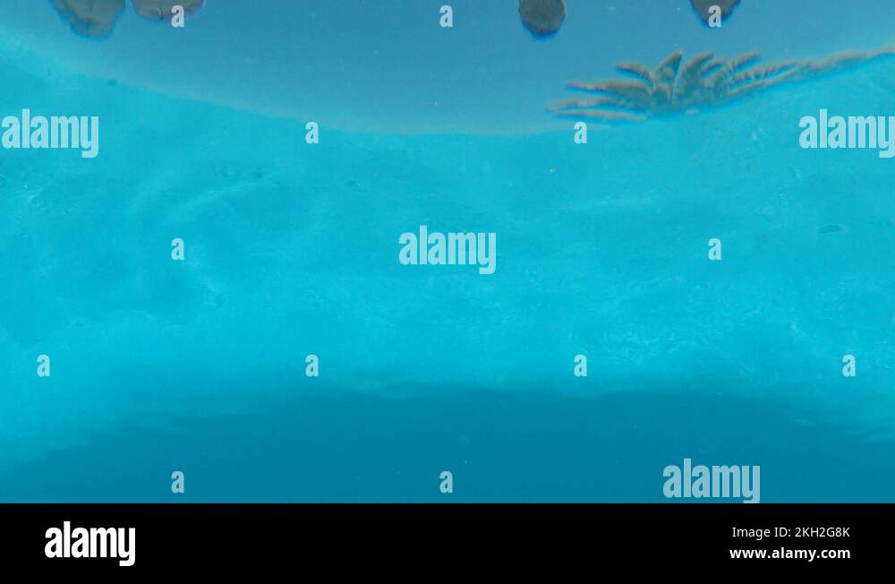 underwater view friends jumping in swimming pool splashing water ...