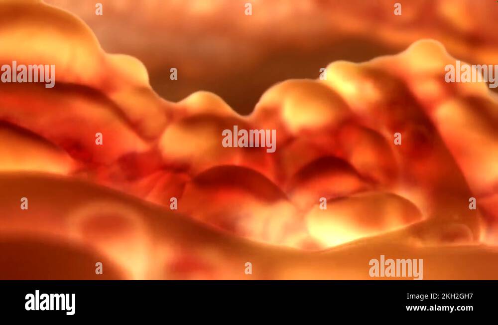 Capillary circulation Stock Videos & Footage - HD and 4K Video Clips ...