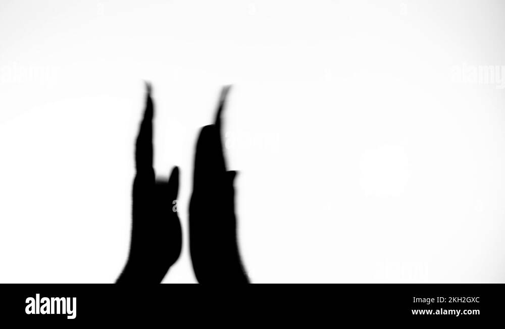 Clapping audience black and white Stock Videos & Footage - HD and 4K ...