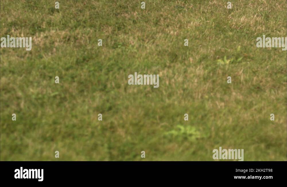 Field desk Stock Videos & Footage - HD and 4K Video Clips - Alamy