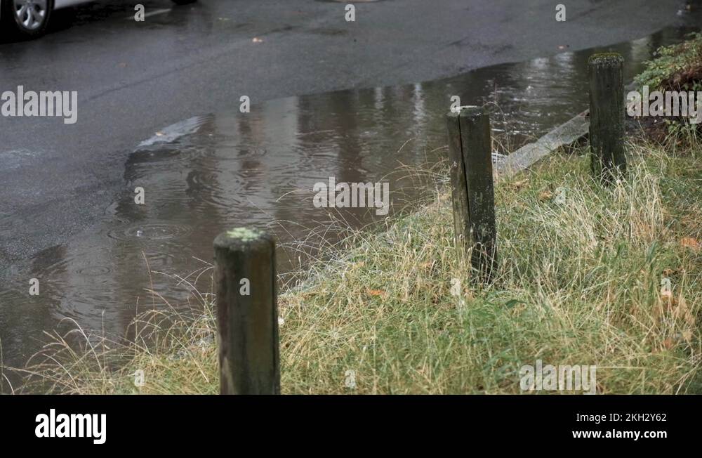 Car puddle splash Stock Videos & Footage - HD and 4K Video Clips - Alamy