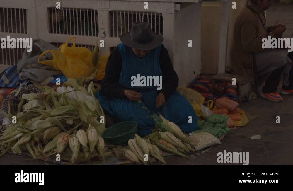 Peruvian corn or cuzco corn Stock Videos & Footage - HD and 4K Video ...