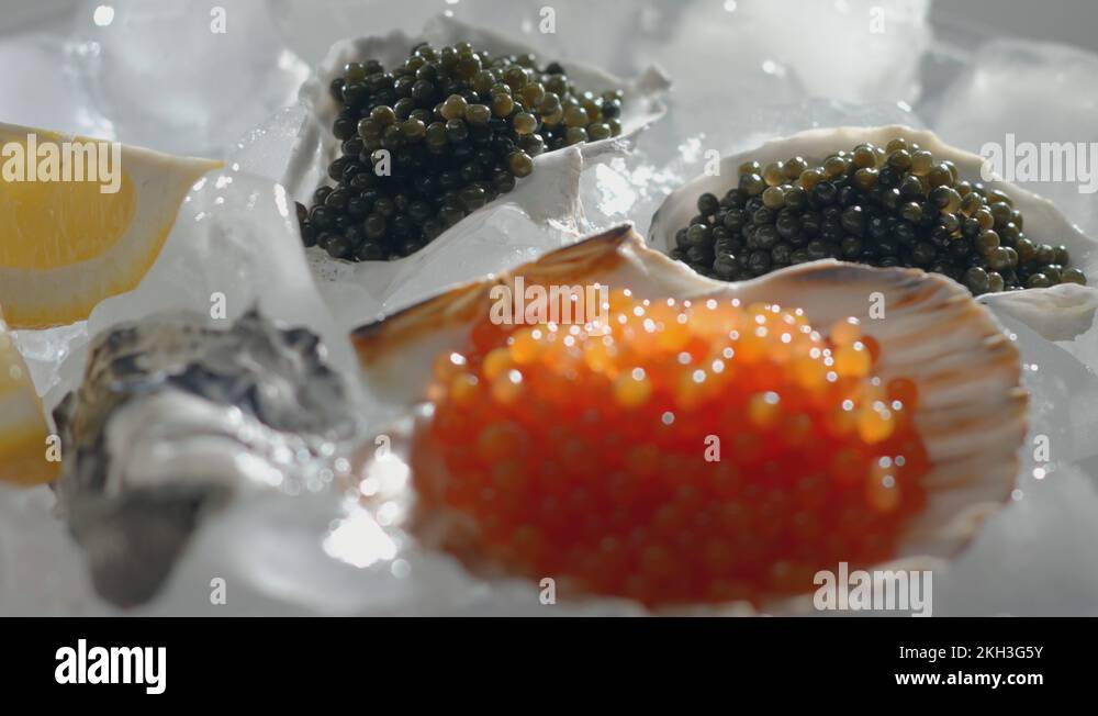 Black Granular Sturgeon Caviar in Oyster. Sturgeon Fish eggs luxury ...