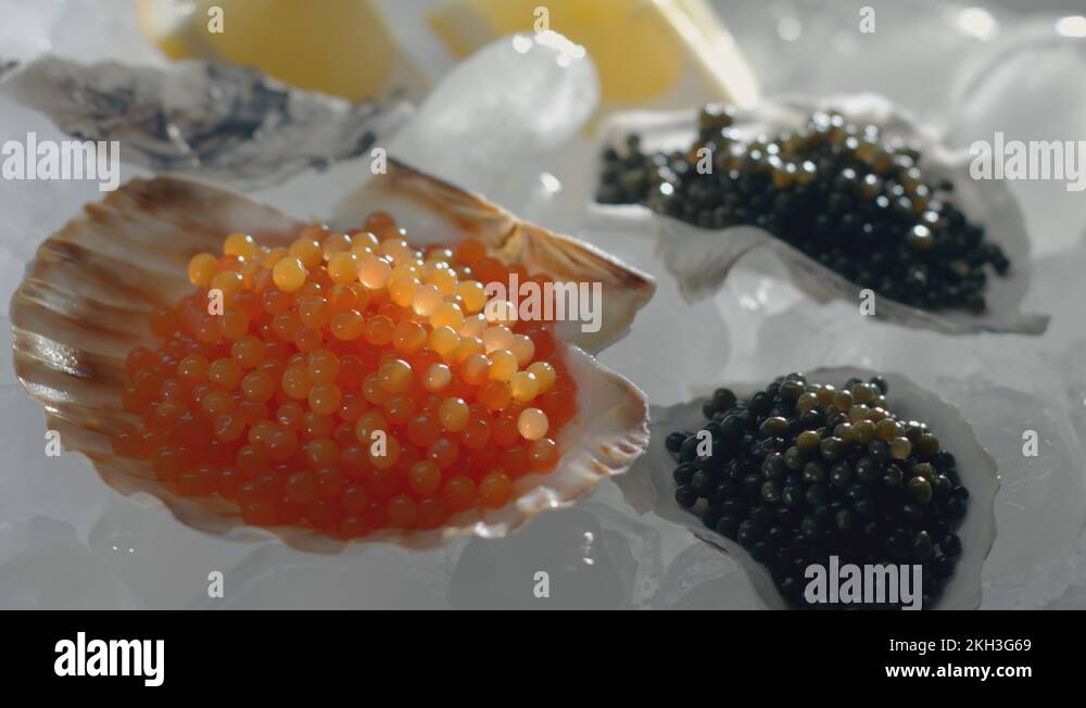 Sturgeon eggs Stock Videos & Footage - HD and 4K Video Clips - Alamy