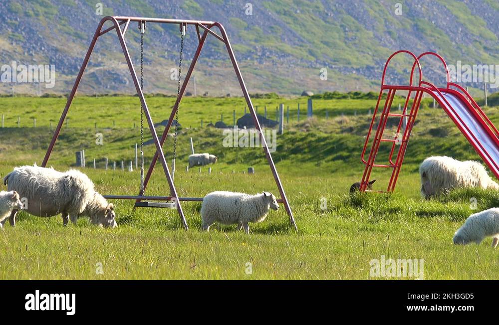 Farm playground equipment Stock Videos & Footage - HD and 4K Video ...