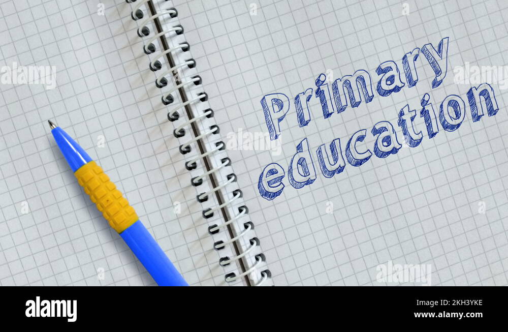 Primary education Stock Videos & Footage - HD and 4K Video Clips - Alamy