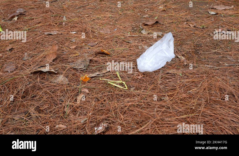 Collectgarbage Stock Videos And Footage Hd And 4k Video Clips Alamy