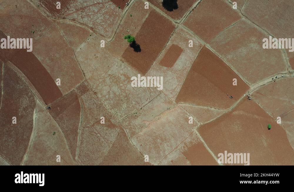 Drought ethiopia farm Stock Videos & Footage - HD and 4K Video Clips ...