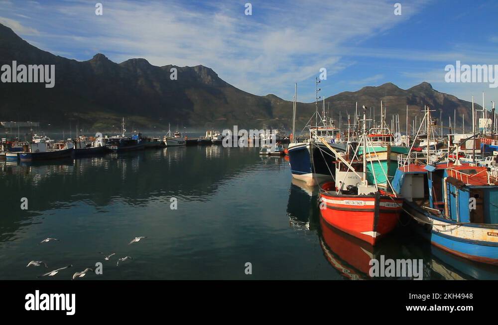 Hout bay harbour Stock Videos & Footage - HD and 4K Video Clips - Alamy