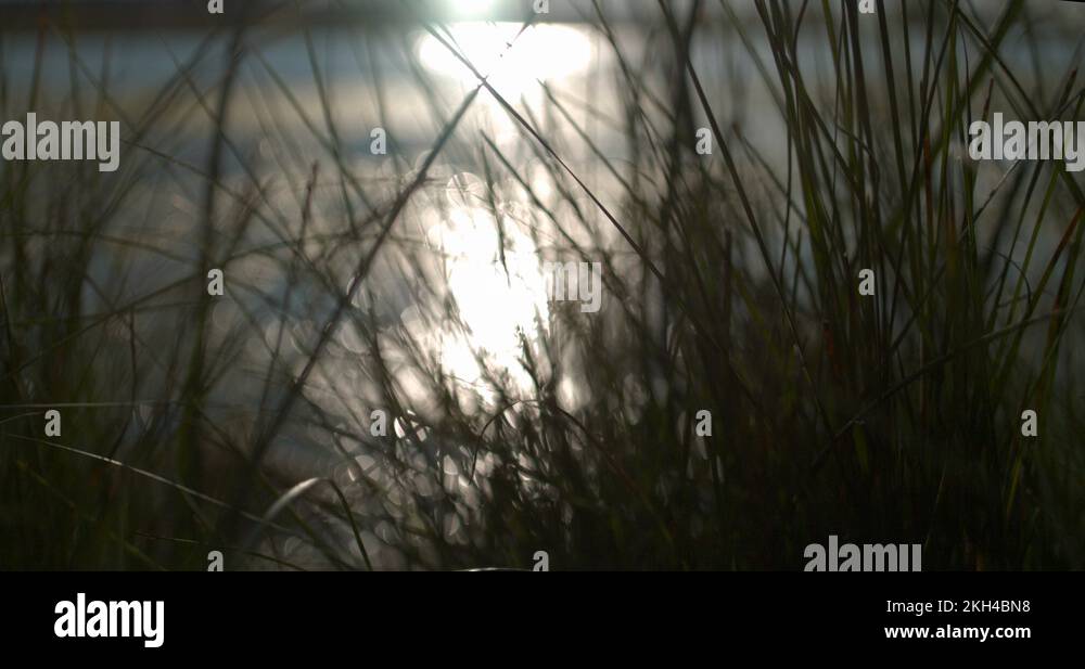 Abstract push Stock Videos & Footage - HD and 4K Video Clips - Alamy