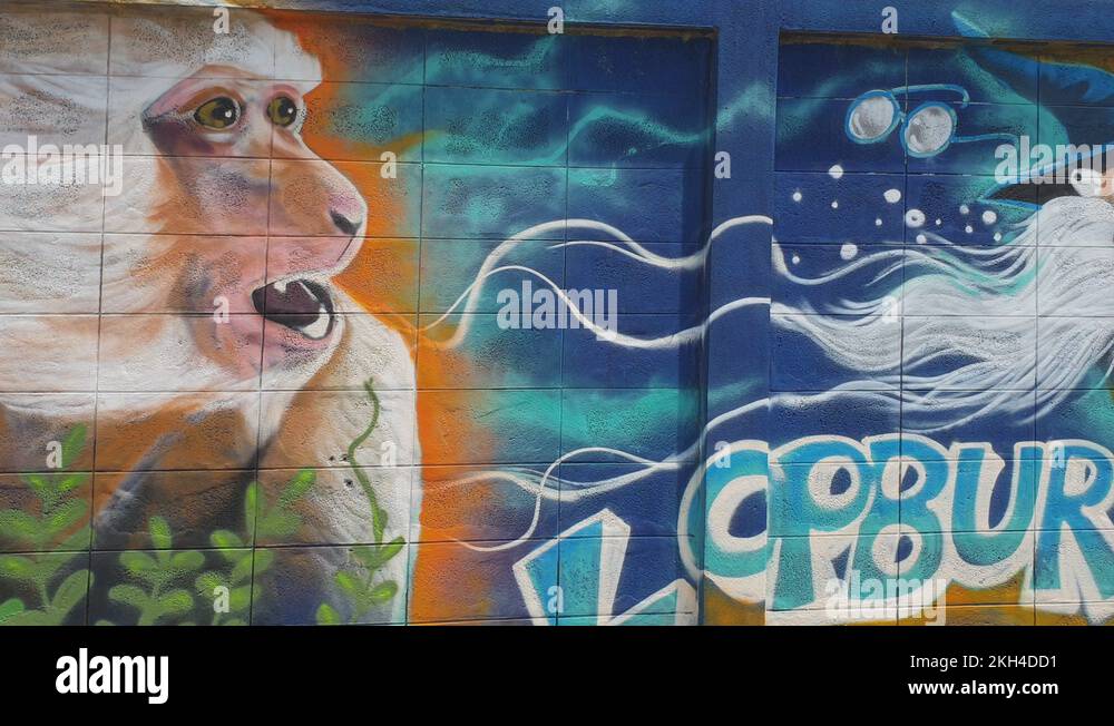 Graffiti on wall at public street in Lopburi, Thailand Stock Video ...