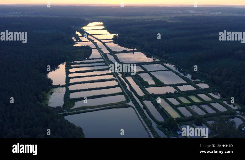 Fishery co op Stock Videos & Footage - HD and 4K Video Clips - Alamy