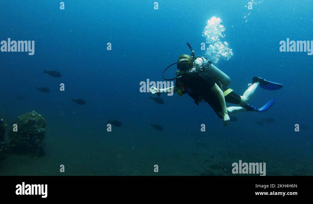 Scuba diving girl Stock Videos & Footage - HD and 4K Video Clips - Alamy